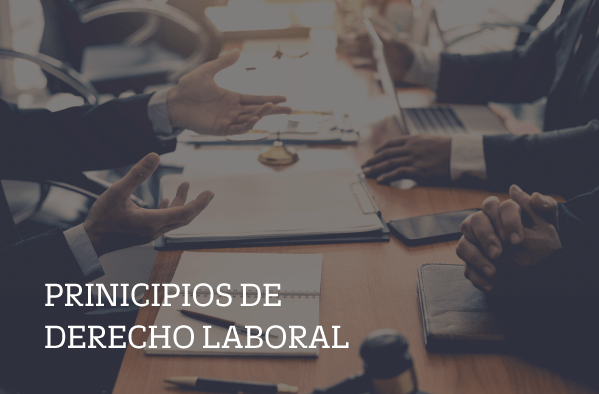 Principios Del Derecho Laboral Upc Flex Courses